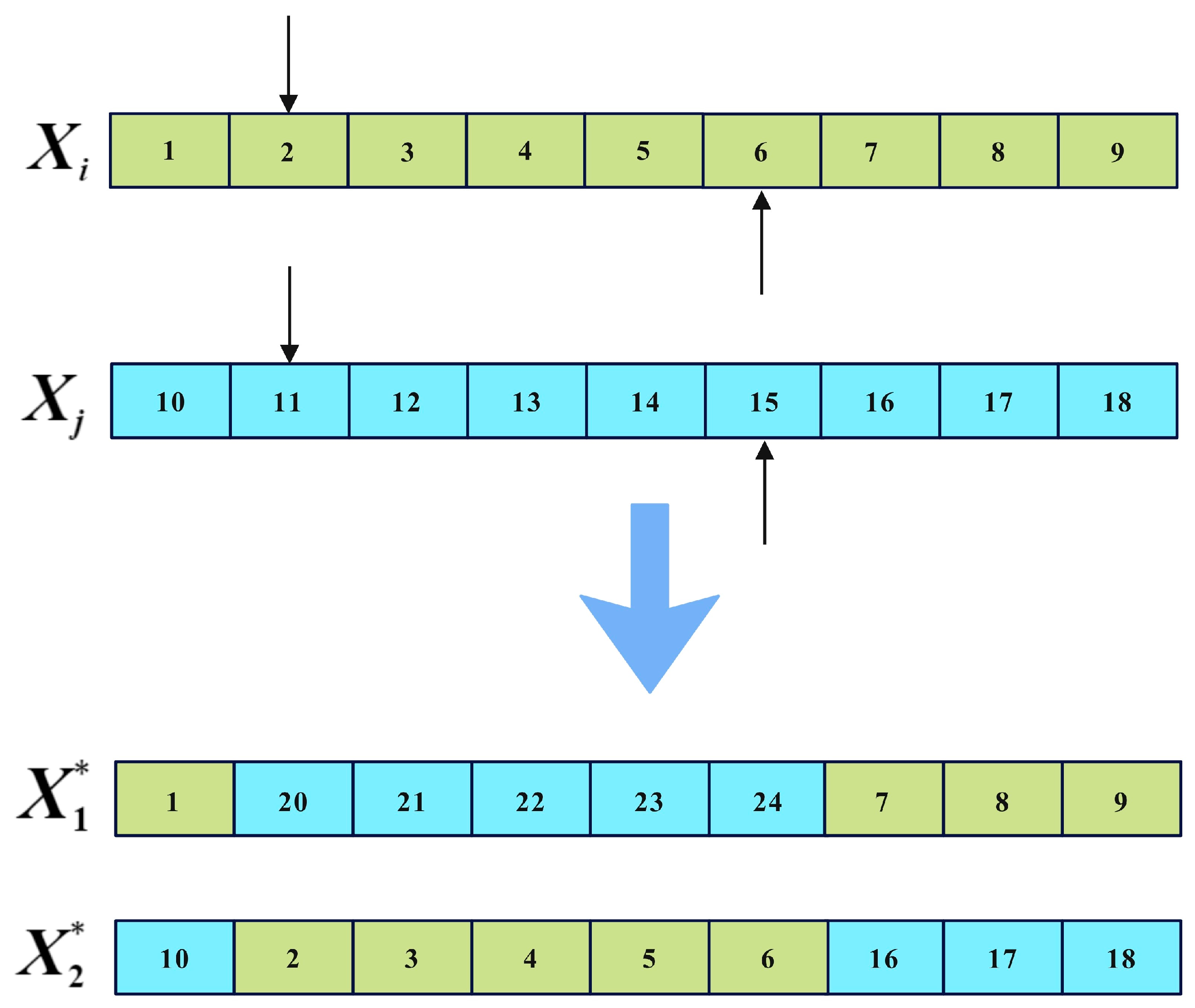 Applied Sciences | Free Full-Text | Chemotherapy Regimen Optimization Using a Two-Archive Multi ...