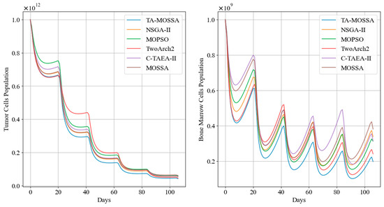 Chemotherapy Regimen Optimization Using a Two-Archive Multi-Objective Squirrel Search Algorithm