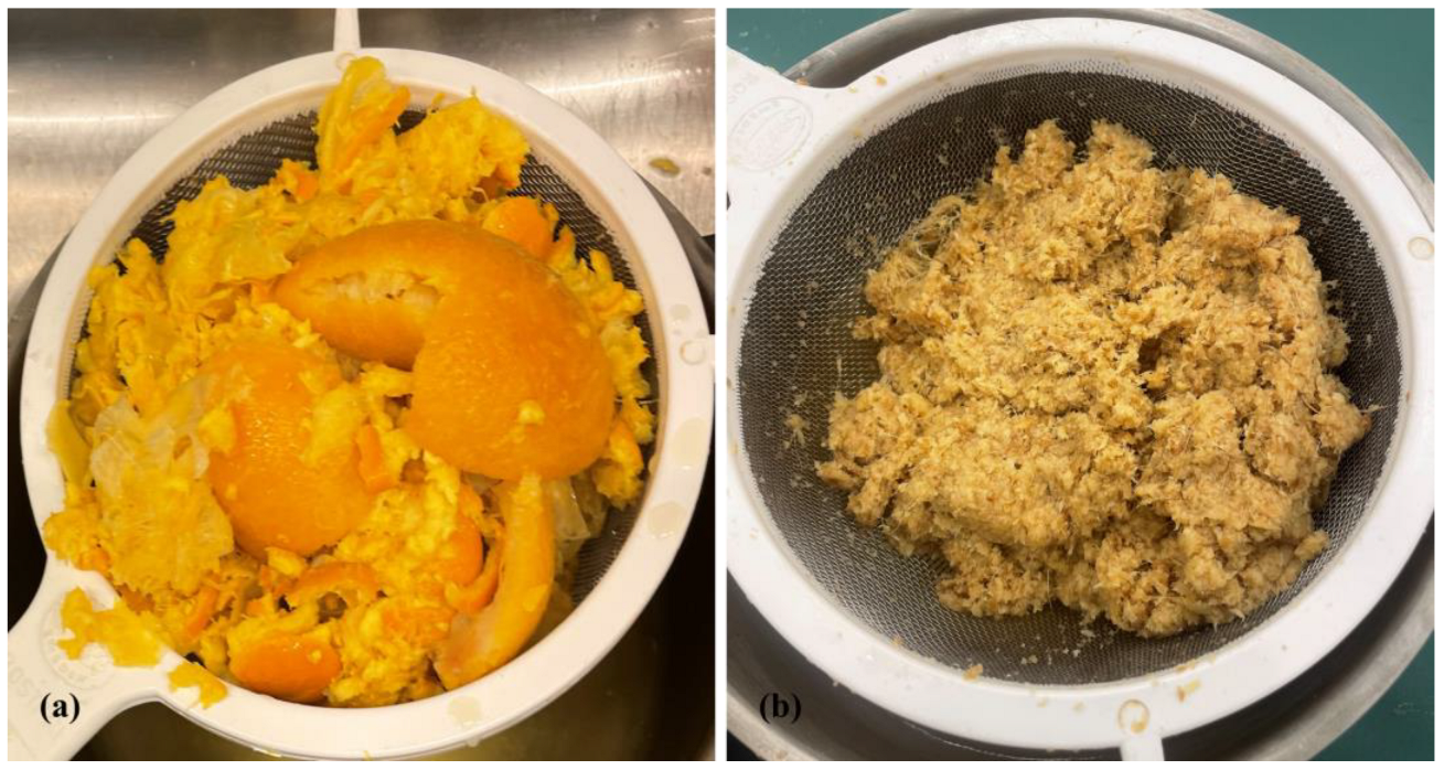 Production of Polymeric Films from Orange and Ginger Waste for ...