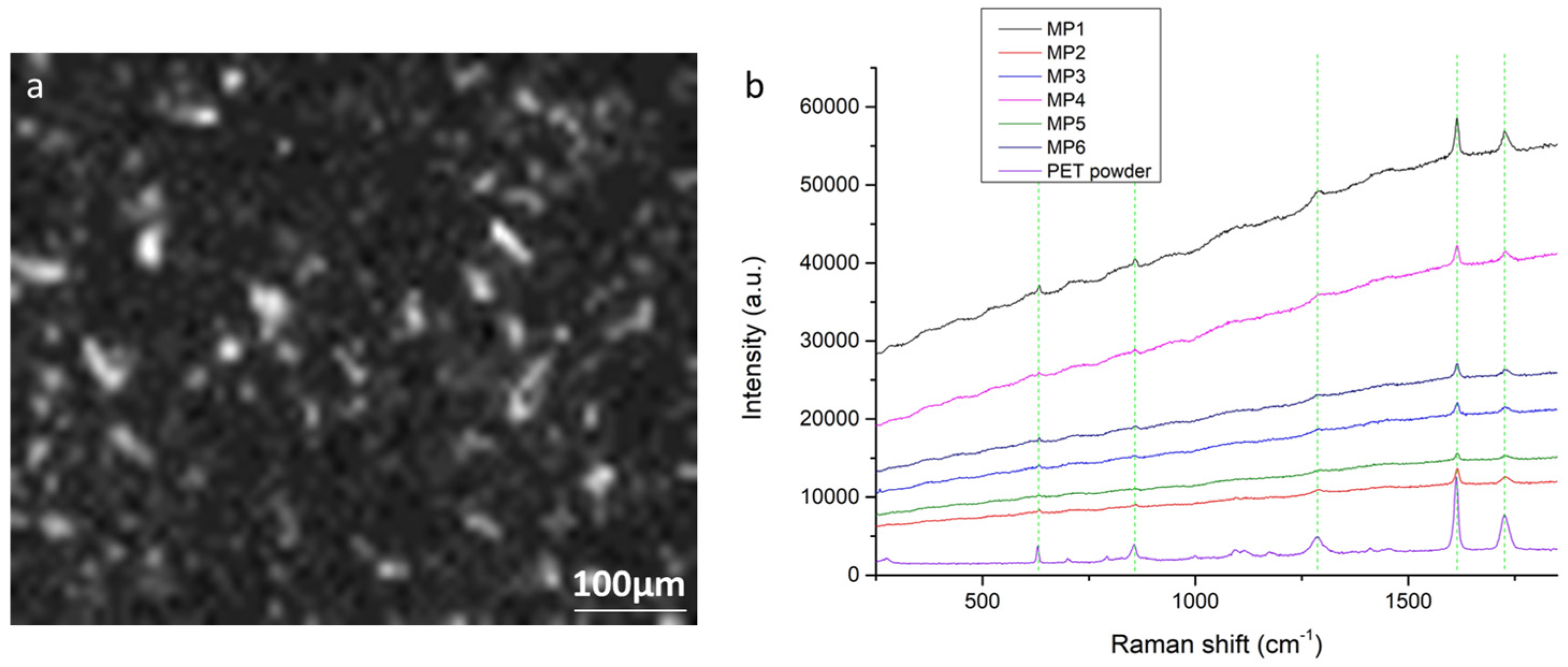 Microplastics’ Detection in Honey: Development of Protocols in a Simulation