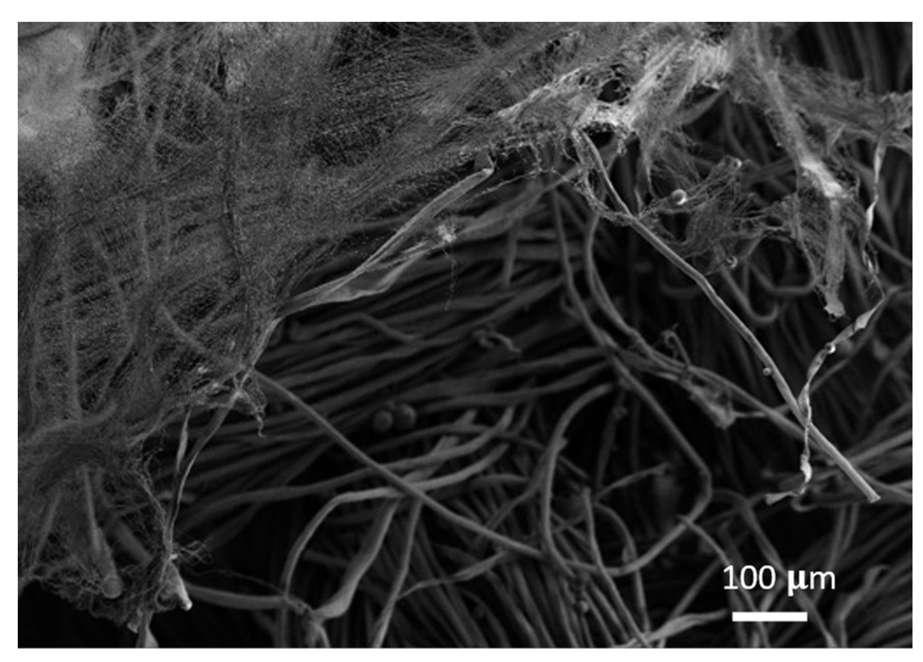 Thermo-Regulated Cotton: Enhanced Insulation through PVA Nanofiber ...