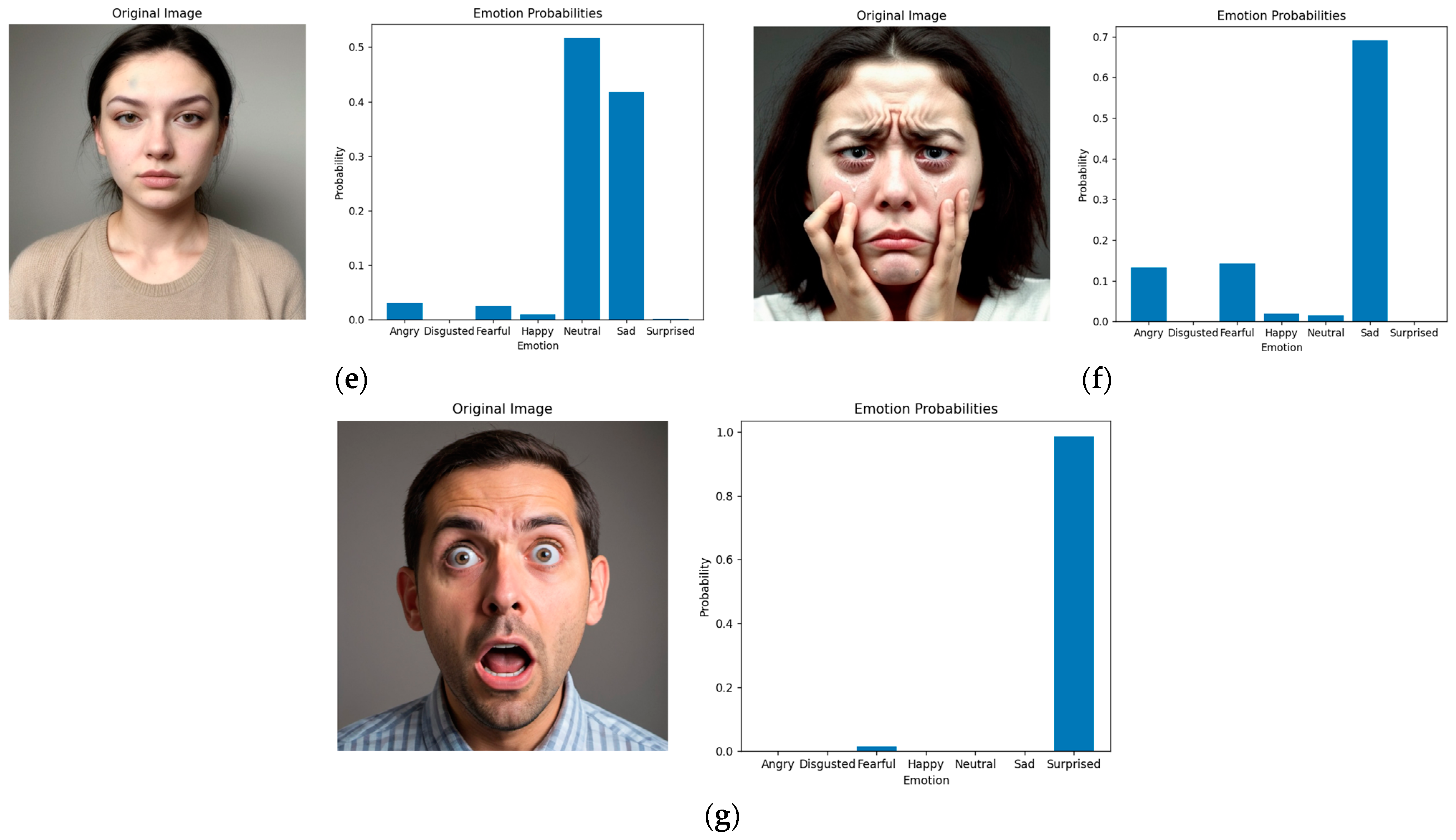 Emotion Recognition in Usability Testing: A Framework for Improving Web ...
