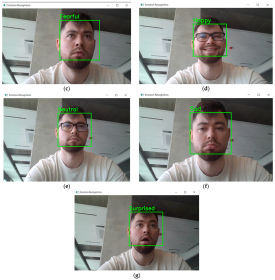 Emotion Recognition in Usability Testing: A Framework for Improving Web ...