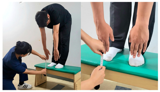 Effect of Digital Therapeutics on Range of Motion, Flexibility, Dynamic ...