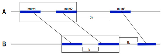 Whole-Genome Alignment: Methods, Challenges, and Future Directions