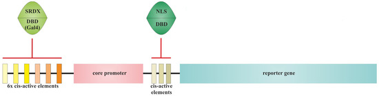 Plant Synthetic Promoters