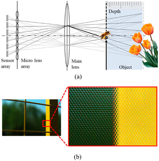 Content-Adaptive Light Field Contrast Enhancement Using Focal Stack and ...