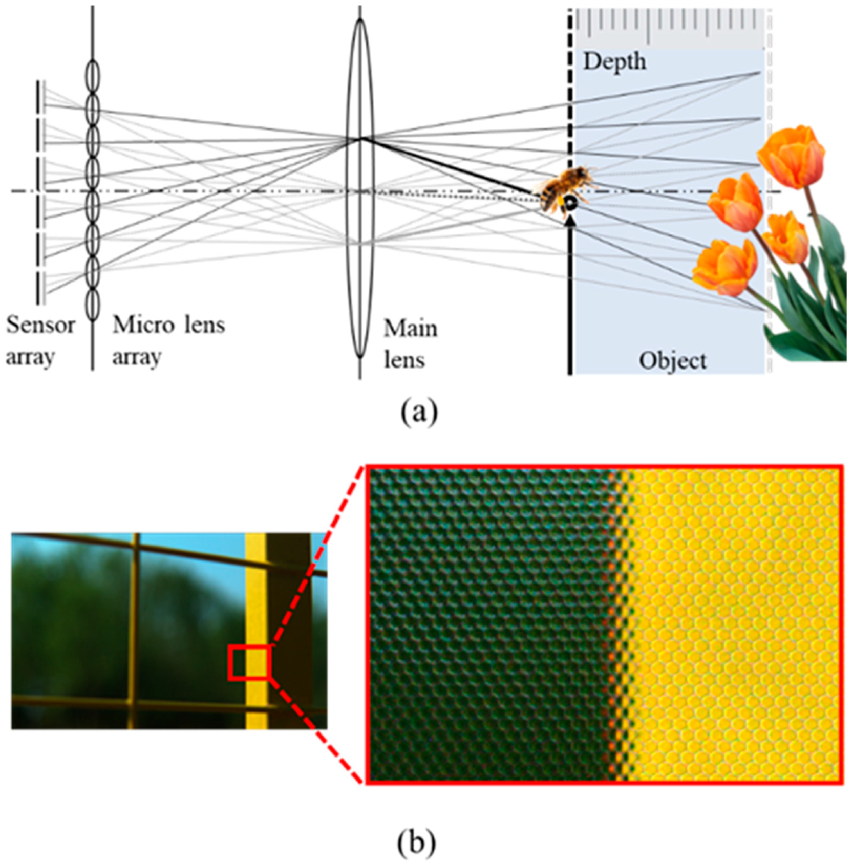 Applied Sciences | Free Full-Text | Content-Adaptive Light Field ...