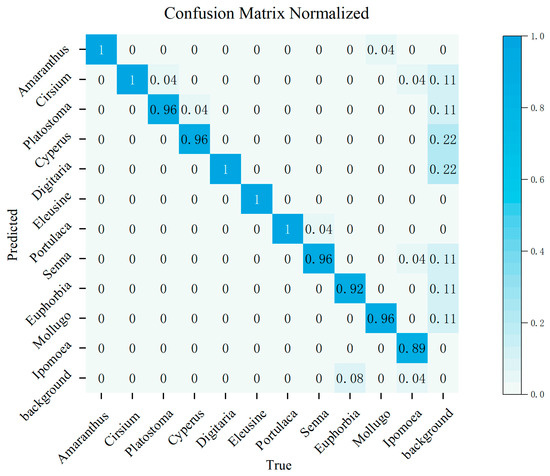 Improved YOLOv8-Seg Based on Multiscale Feature Fusion and Deformable Convolution for Weed ...