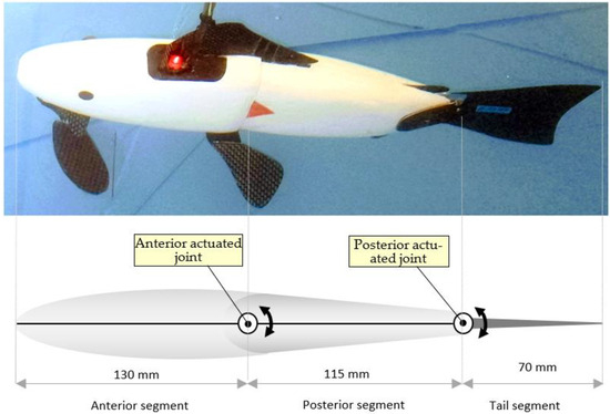 The Effect of a Limited Underactuated Posterior Joint on the Speed and ...