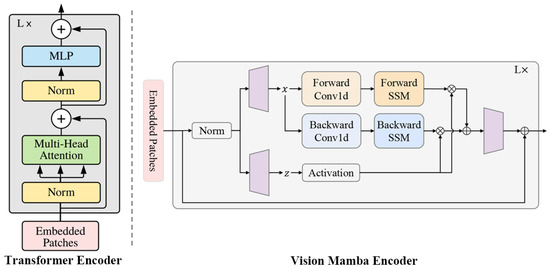 Applied Sciences | Free Full-Text | From Large Language Models to Large ...