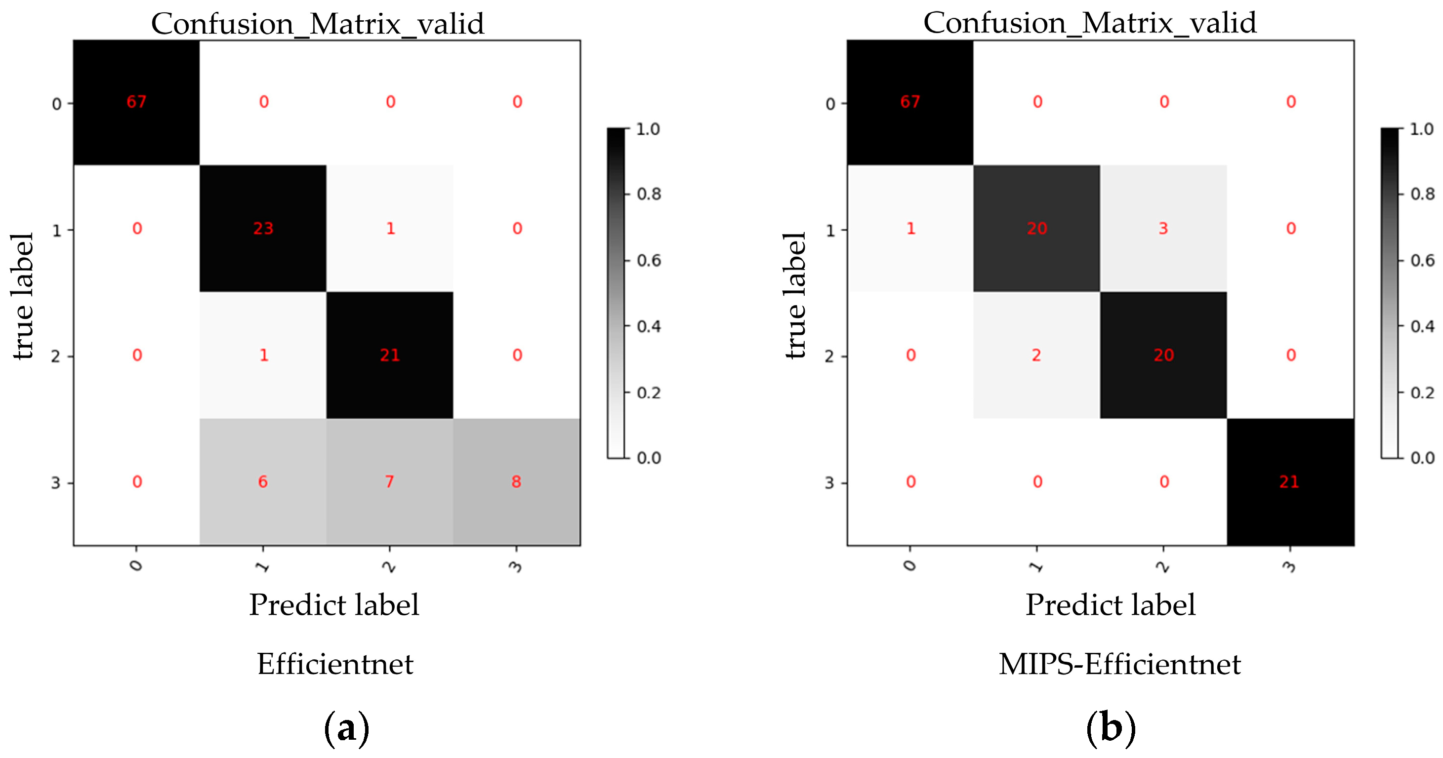 A Multi-Step Image Pre-Enhancement Strategy for a Fish Feeding Behavior Analysis Using Efficientnet