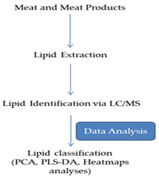 Recent Proteomics, Metabolomics and Lipidomics Approaches in Meat ...
