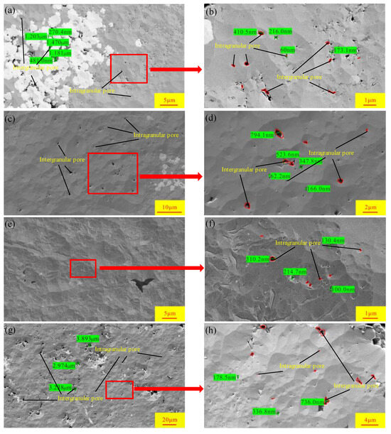 Characteristics and Genesis of Pore–Fracture System in Alkaline Lake ...