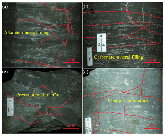 Characteristics and Genesis of Pore–Fracture System in Alkaline Lake ...