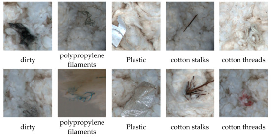 Study on the Detection Mechanism of Multi-Class Foreign Fiber under ...