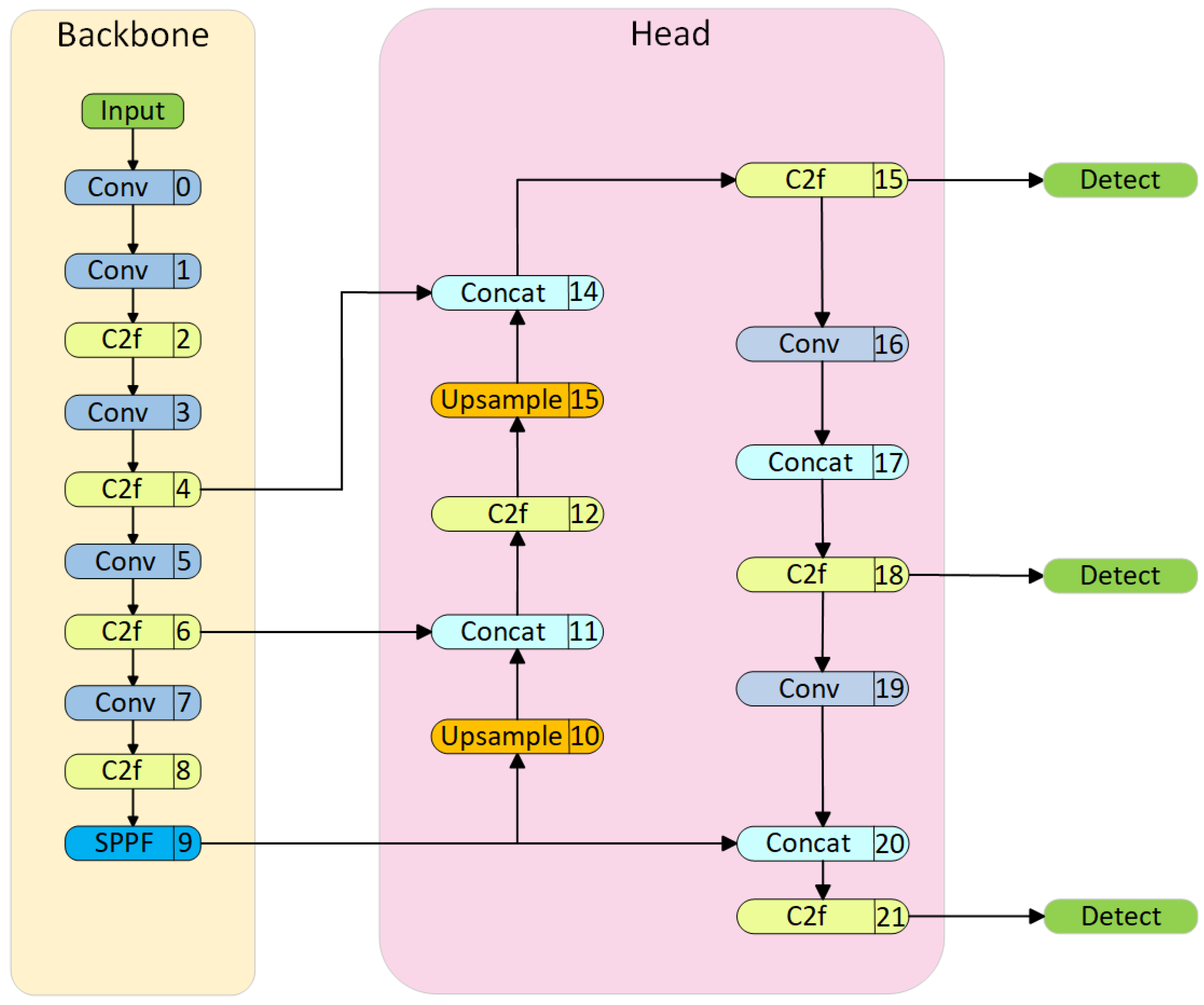 Sgst Yolov8 An Improved Lightweight Yolov8 For Real Time Target Detection For Campus Surveillance