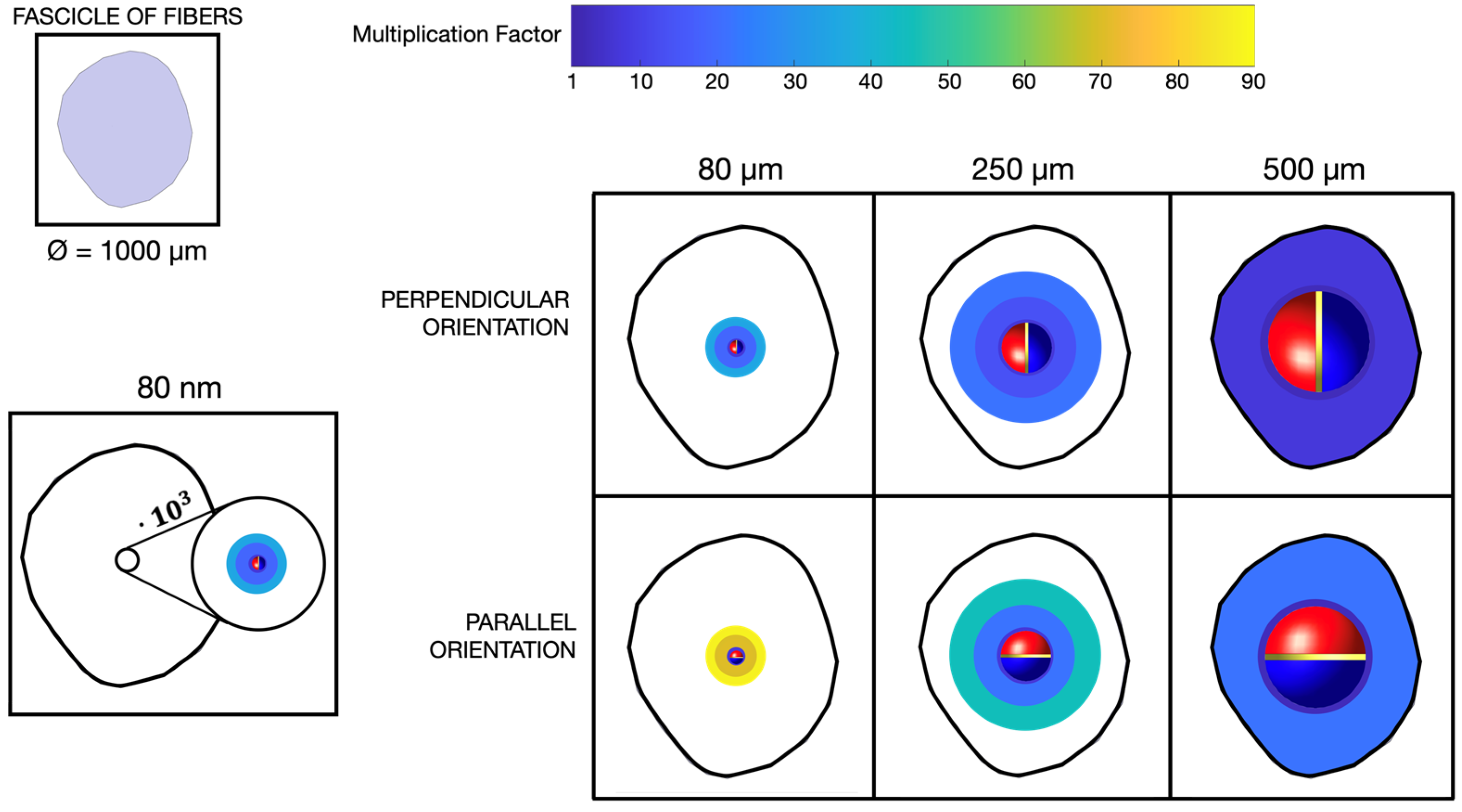 Magnetoelectric Nanoparticles for Wireless Peripheral Nerve Stimulation ...