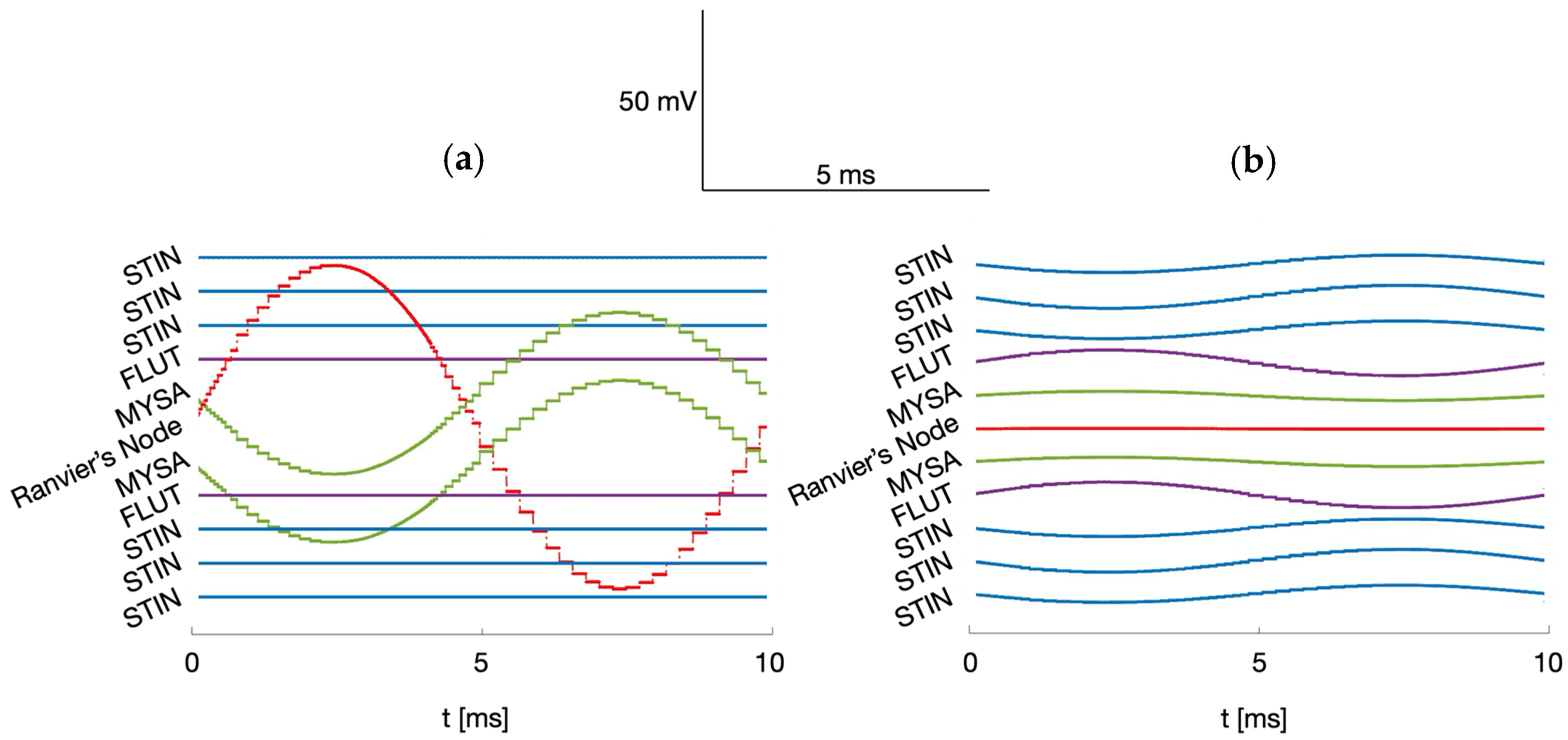 Magnetoelectric Nanoparticles for Wireless Peripheral Nerve Stimulation ...