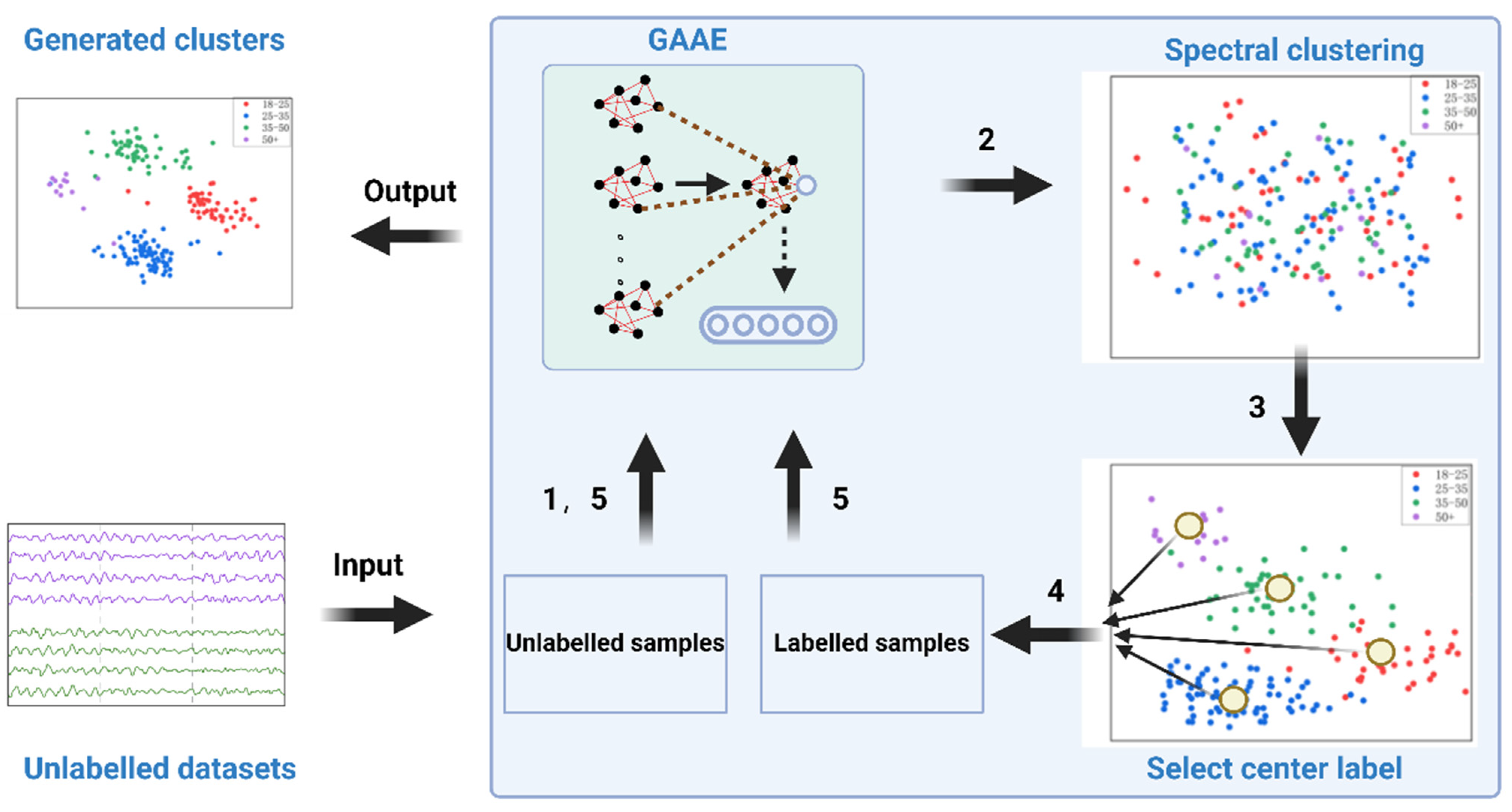 SGAAE-AC: A Semi-Supervised Graph Attention Autoencoder for ...