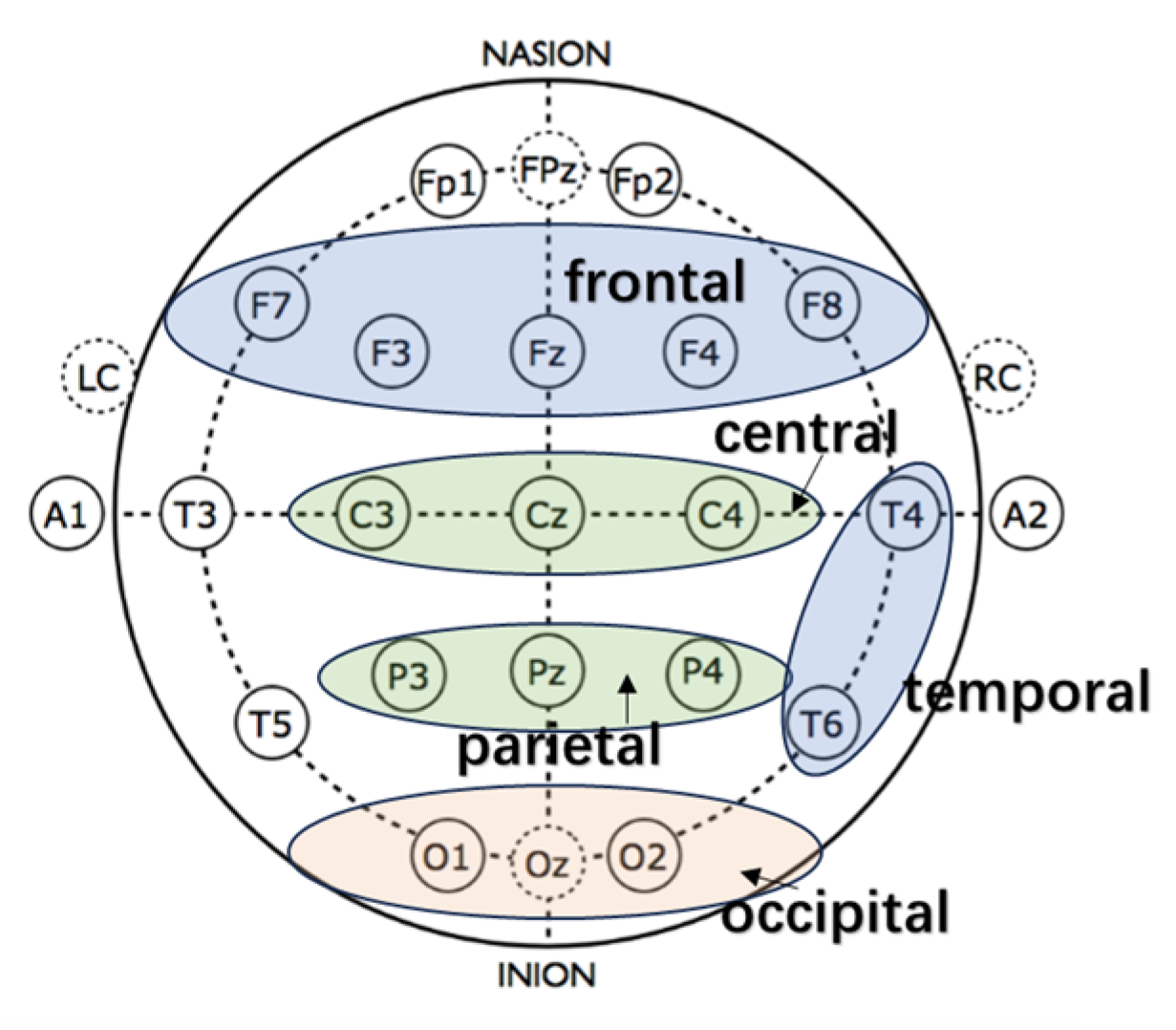 SGAAE-AC: A Semi-Supervised Graph Attention Autoencoder for ...