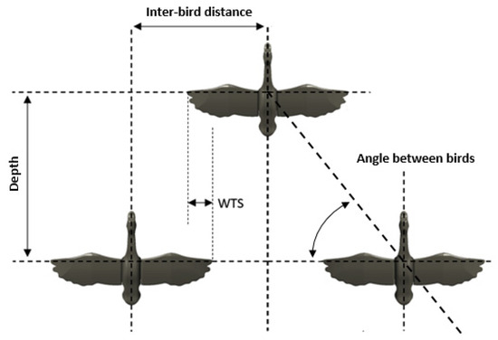 The Aerodynamic Mechanisms of the Formation Flight of Migratory Birds ...
