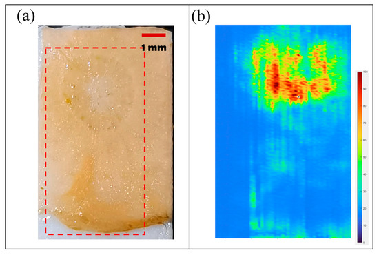 Visual Analysis of Carbendazim Residues in Carrot Tubers via ...