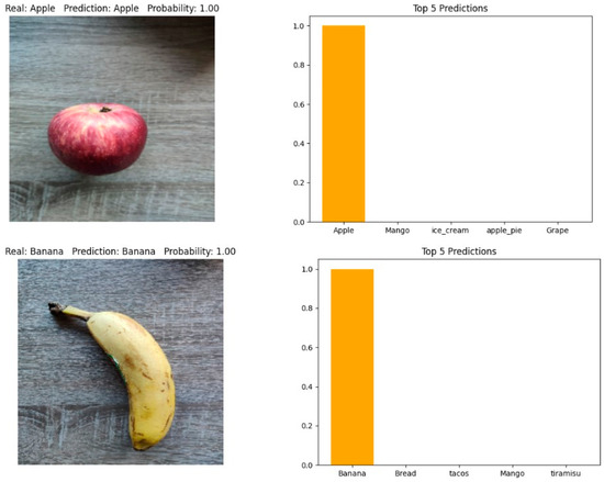 Recognition of Food Ingredients—Dataset Analysis