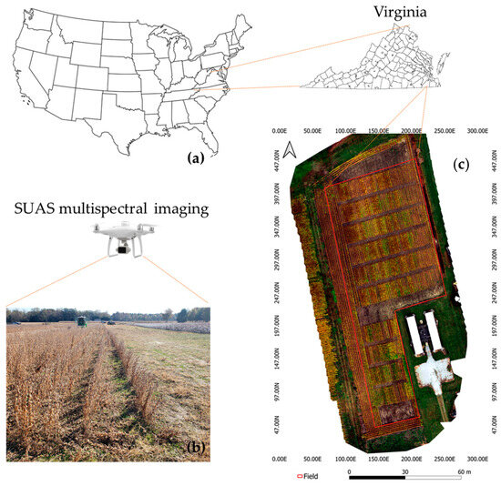 Applied Sciences | Free Full-Text | Impact Assessment of Nematode Infestation on Soybean Crop ...