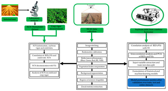 Impact Assessment of Nematode Infestation on Soybean Crop Production ...