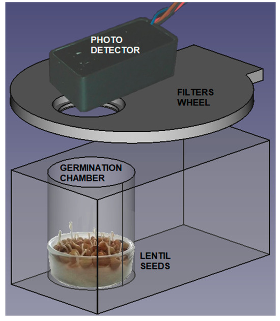 Biophotons: A Hard Problem