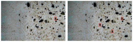 Applied Sciences | Free Full-Text | Image Recognition and Classification of Farmland Pests Based ...