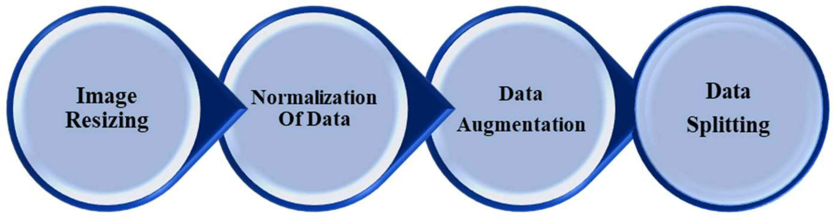 Effect of Hyperparameter Tuning on the Performance of YOLOv8 for Multi Crop Classification on ...