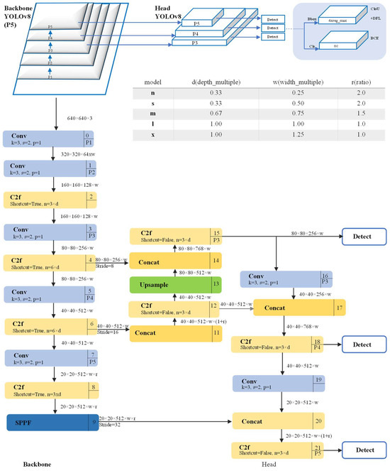 Effect of Hyperparameter Tuning on the Performance of YOLOv8 for Multi Crop Classification on ...