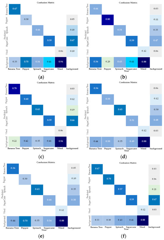 Effect of Hyperparameter Tuning on the Performance of YOLOv8 for Multi Crop Classification on ...