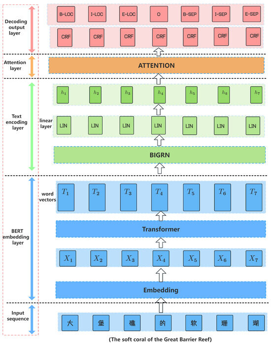 Named Entity Recognition for Chinese Texts on Marine Coral Reef Ecosystems Based on the BERT ...