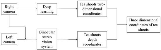 Development of a Premium Tea-Picking Robot Incorporating Deep Learning ...