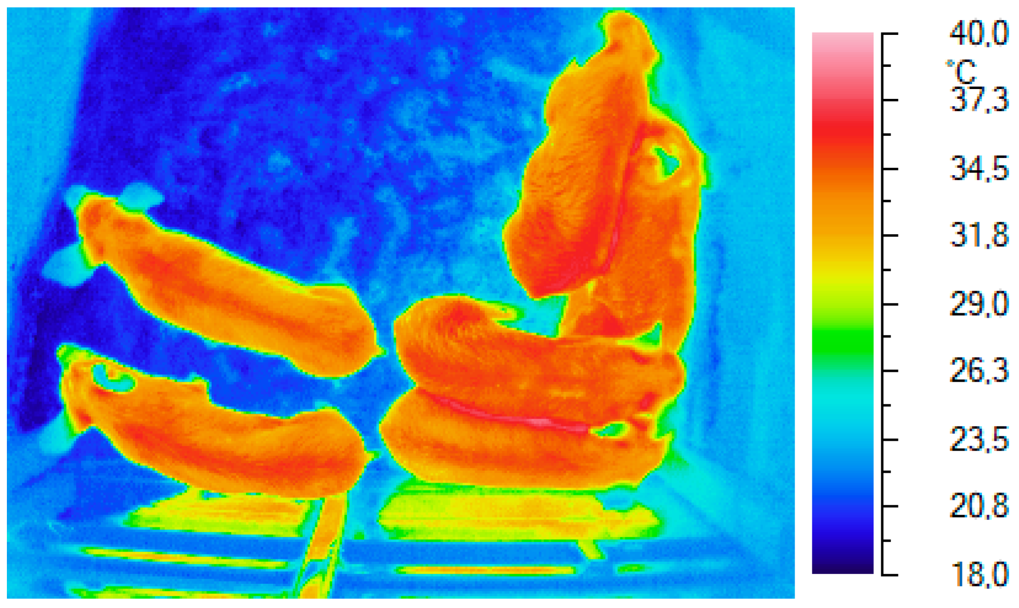 A Precision Livestock Farming Technique from Breeding to Slaughter ...