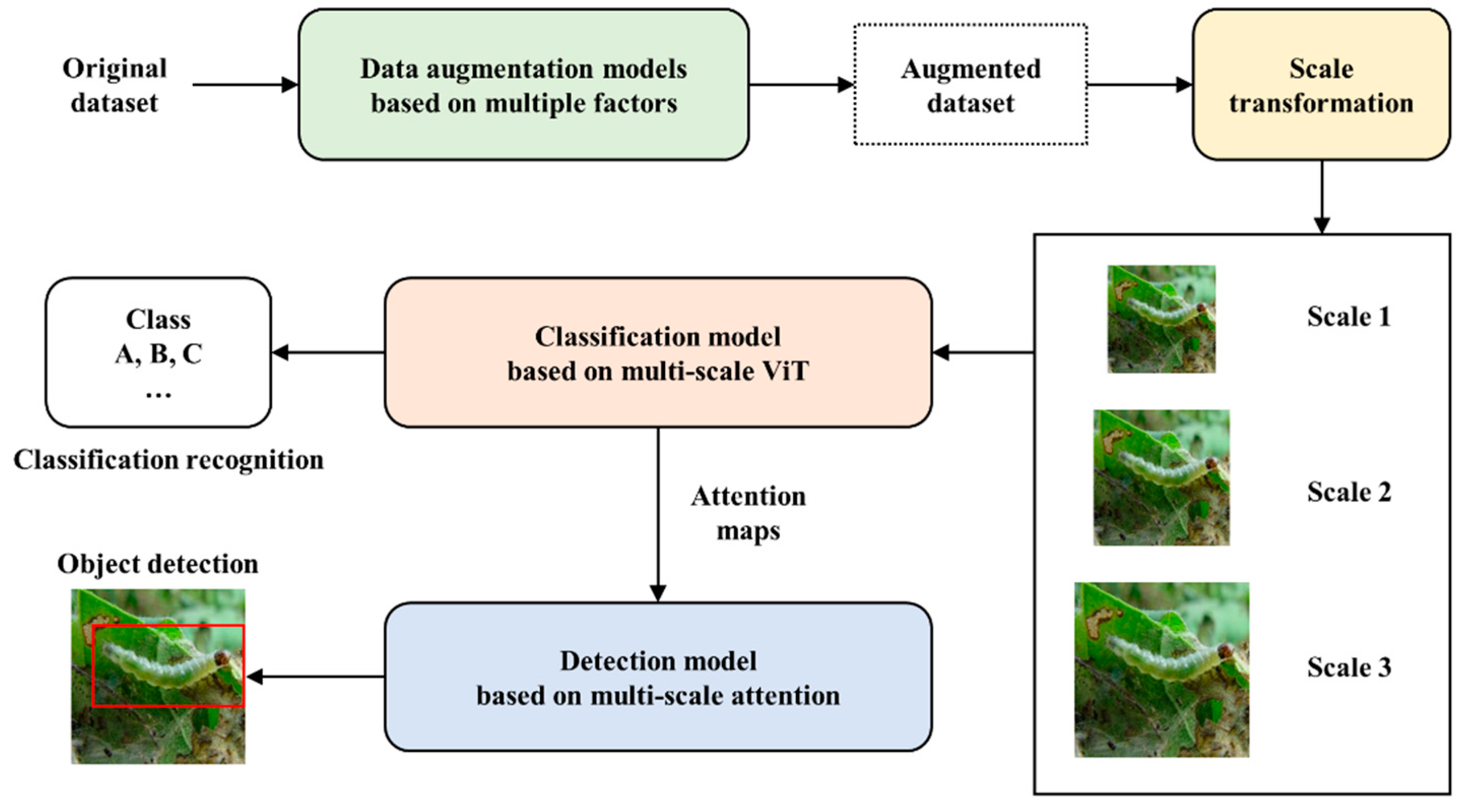 Multi-Scale and Multi-Factor ViT Attention Model for Classification and ...