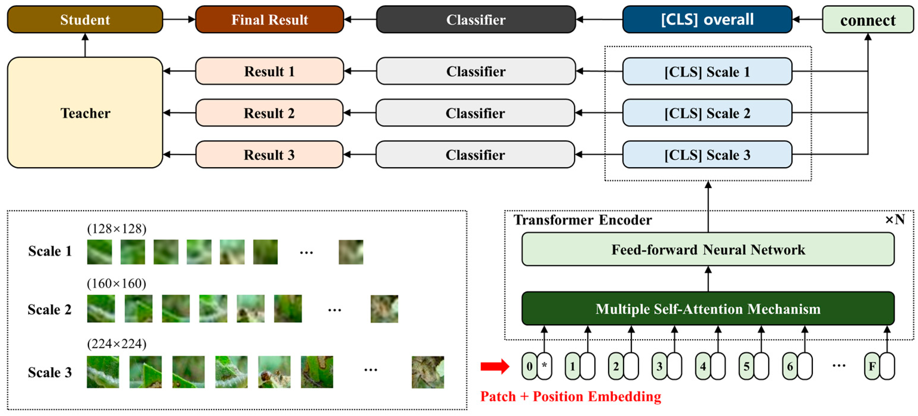 Multi-Scale and Multi-Factor ViT Attention Model for Classification and ...