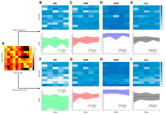 Efficient Sleepwake Cycle Staging Via Phaseamplitude Coupling Pattern Classification