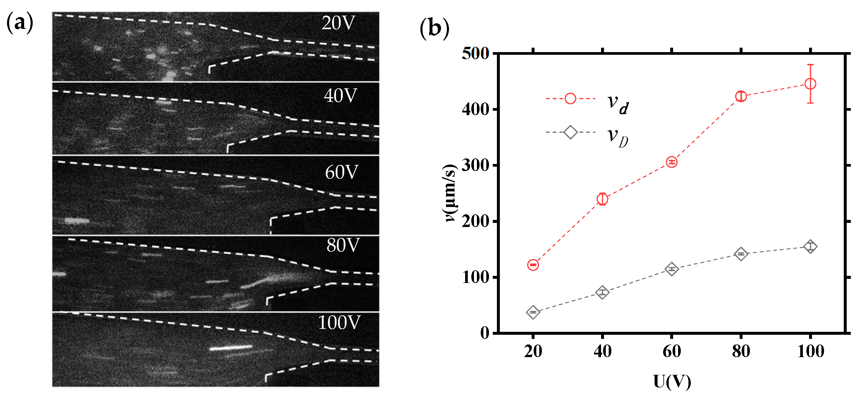 Dynamic Characteristics of λ-DNA Molecules Translocating through ...