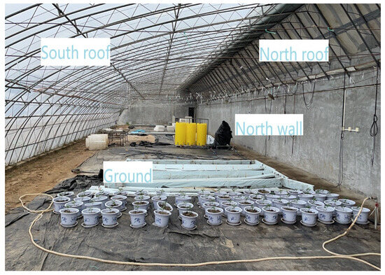 A Critical Review of the Status of Current Greenhouse Technology in ...