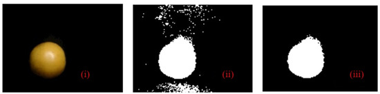 Fuzzy Classification of the Maturity of the Orange (Citrus × sinensis ...