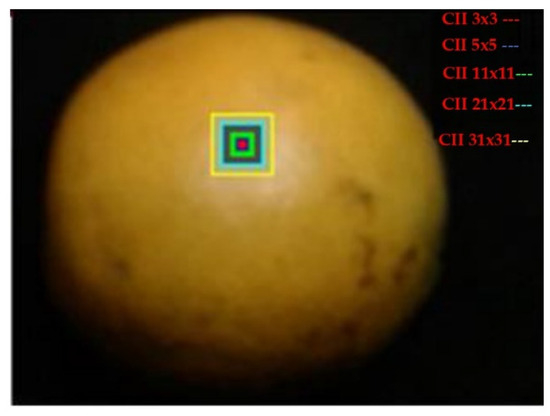 Fuzzy Classification of the Maturity of the Orange (Citrus × sinensis) Using the Citrus Color ...