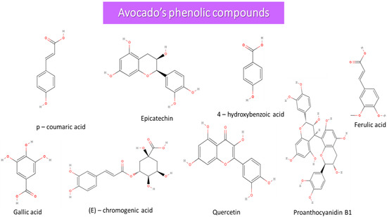 Avocado and Its By-Products as Natural Sources of Valuable Anti ...