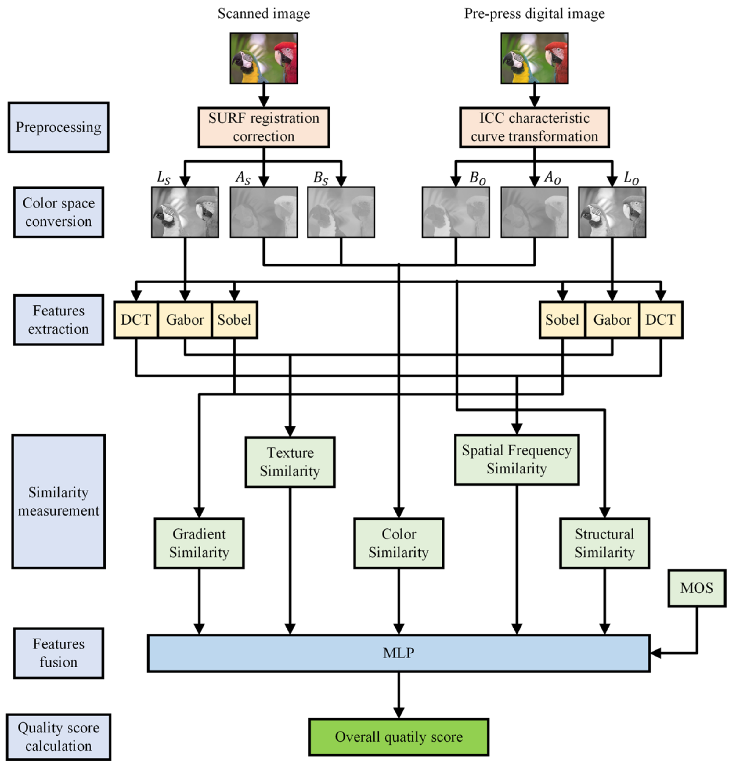 Research on a Multidimensional Digital Printing Image Quality Evaluation Method Based on MLP ...