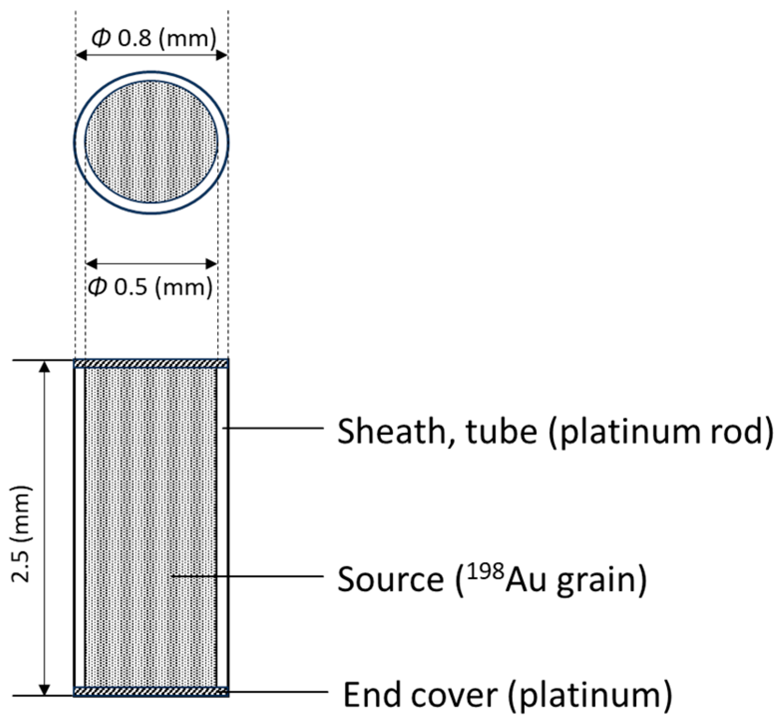 Evaluation of Radiation Doses Received by Physicians during Permanent ...