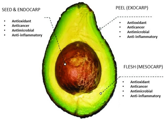 Advanced and Potential Methods for Extraction of Bioactive Compounds ...