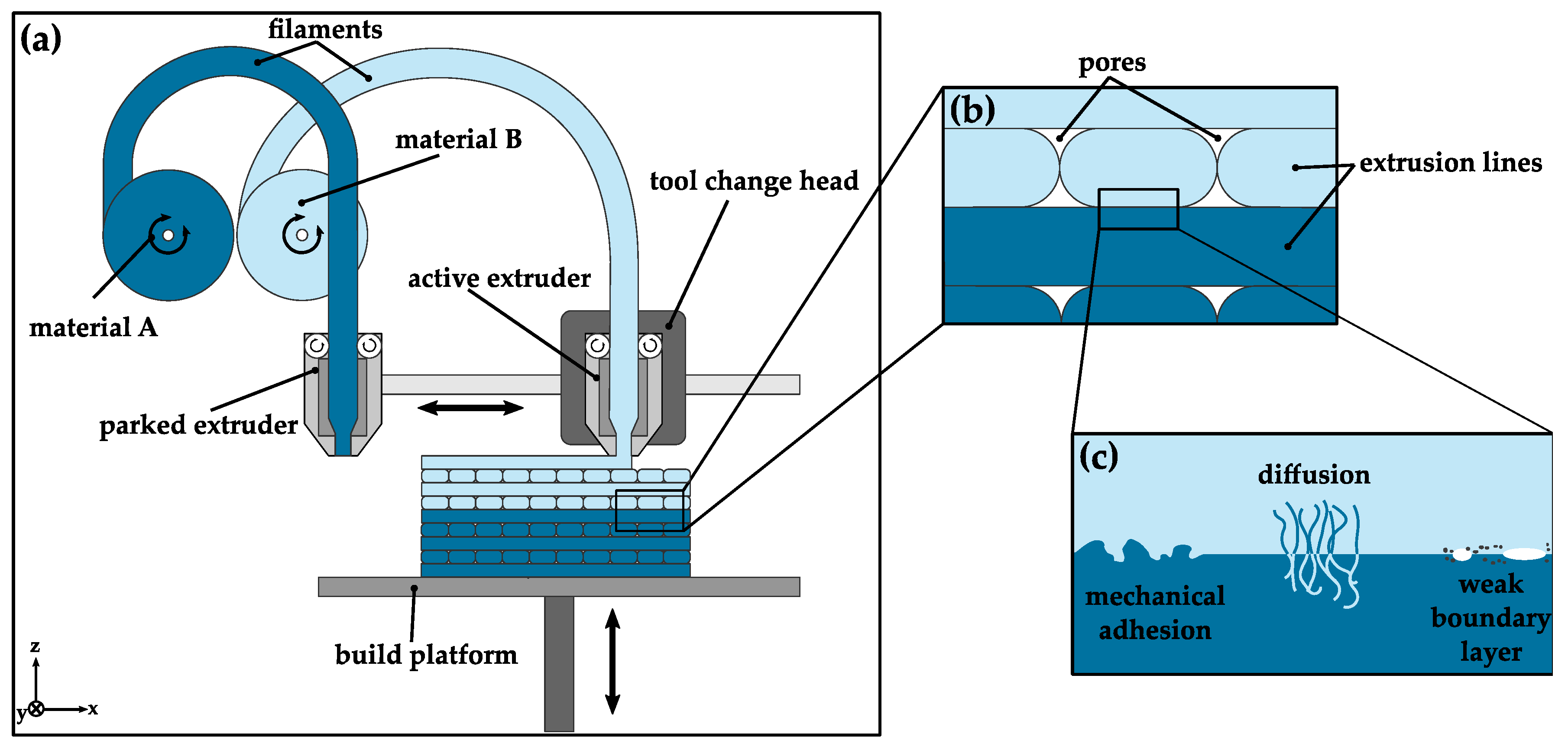 Process-Dependent Influences on Adhesion in Multi-Material Extrusion
